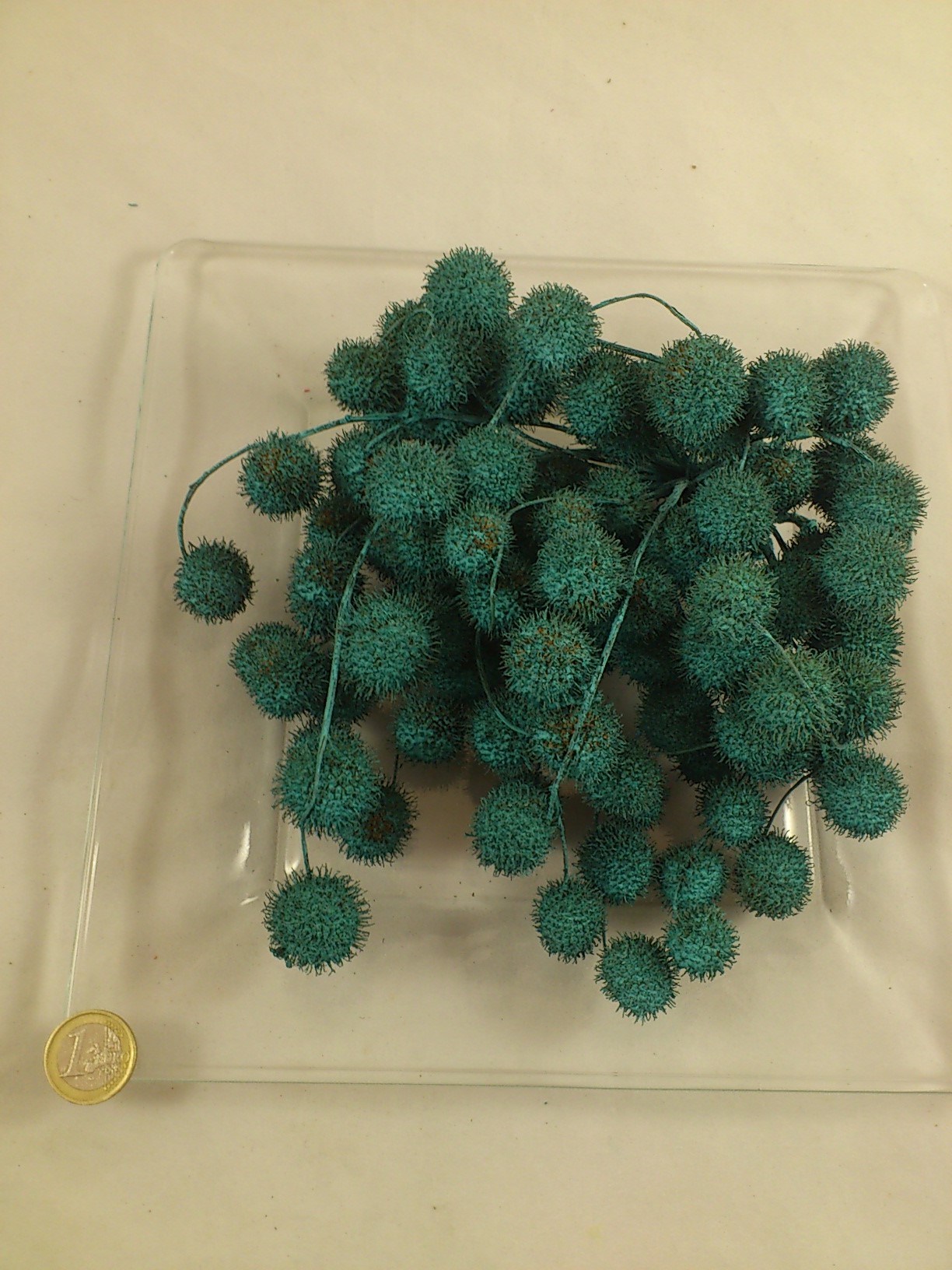 Platane (fruit) 250 gr. azure - Bloemschikken|Bloemschikmateriaal.be ...